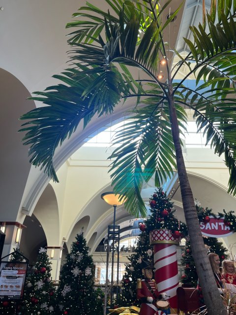 Nancy073的晒货 | 晒晒圈精选