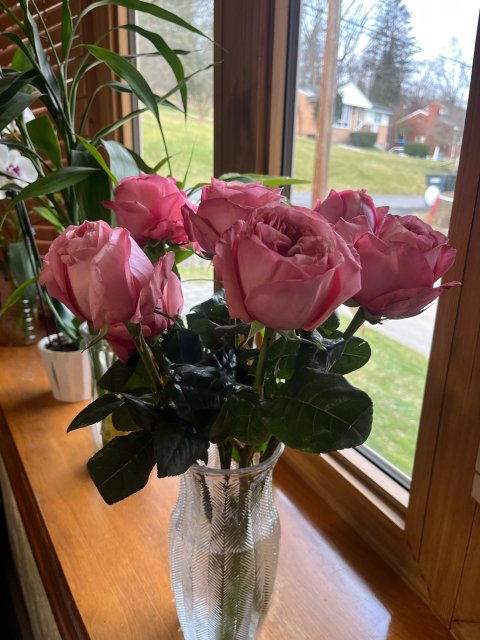 Nancy073的晒货 | 晒晒圈精选