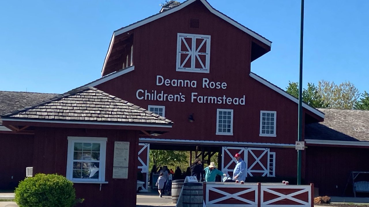 遛娃好地方-Deanna Rose Children's Farmstead