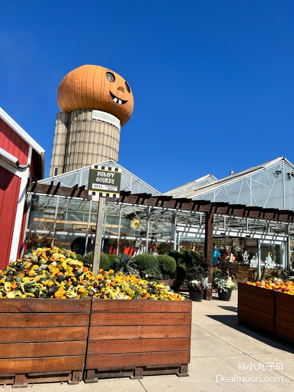 Goebbert’s farm | 社区旅行精选