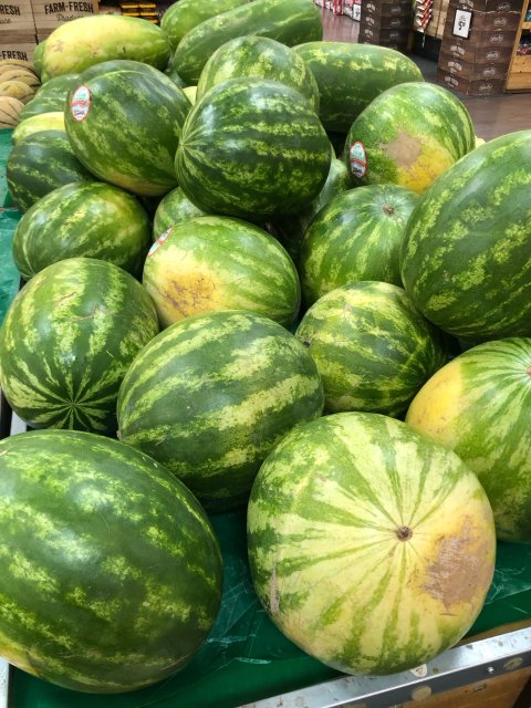 大西瓜 | 社区精选