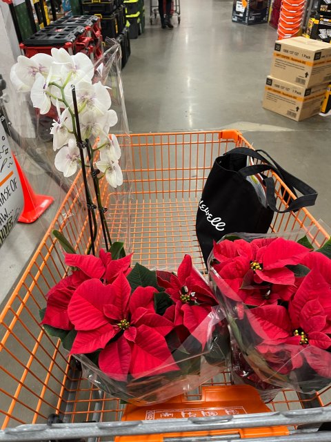 Nancy073的晒货 | 晒晒圈精选