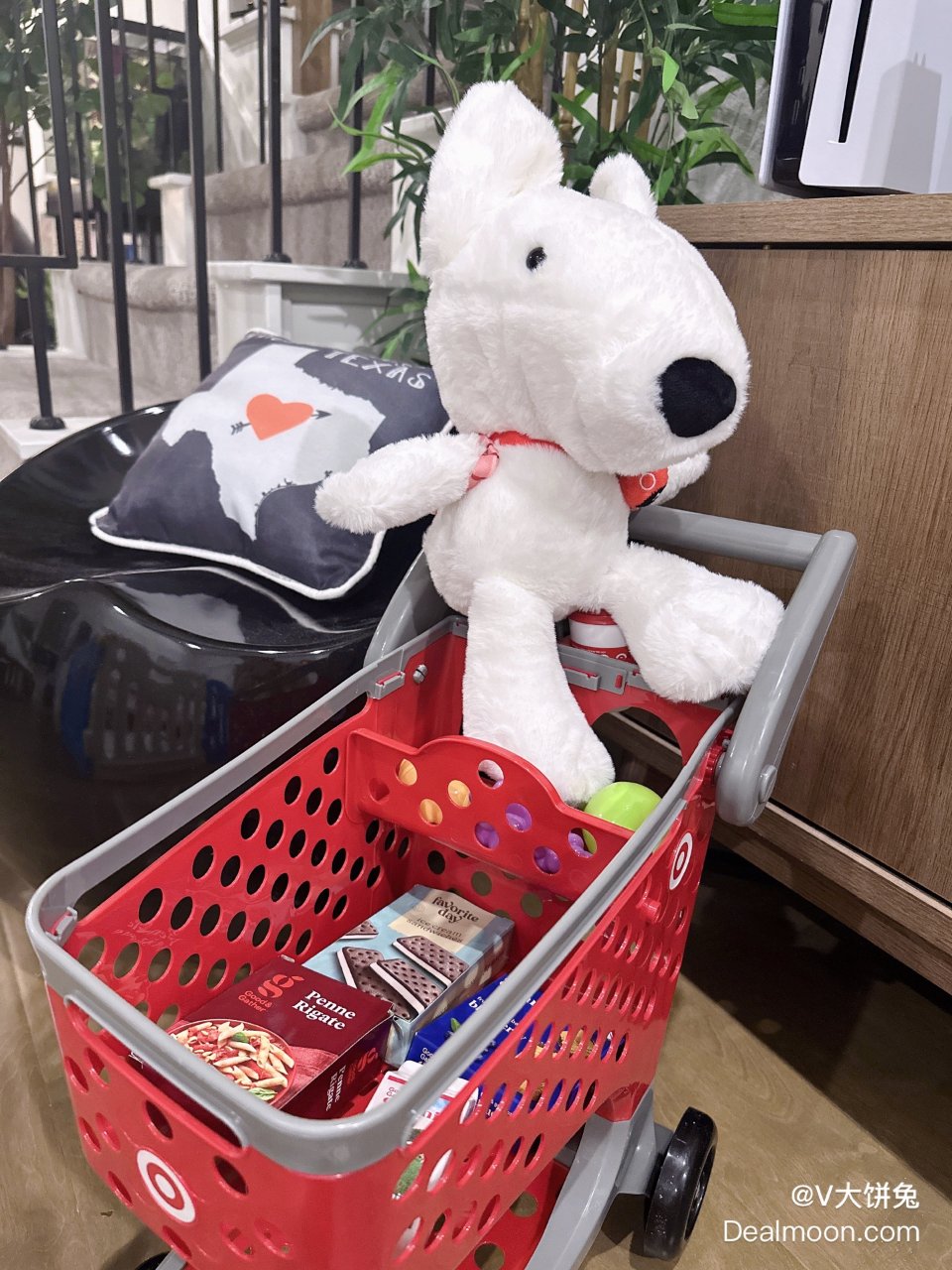 😍Target狗狗🐶和购物车🛒抱回家🏠 | 社区校园生活精选