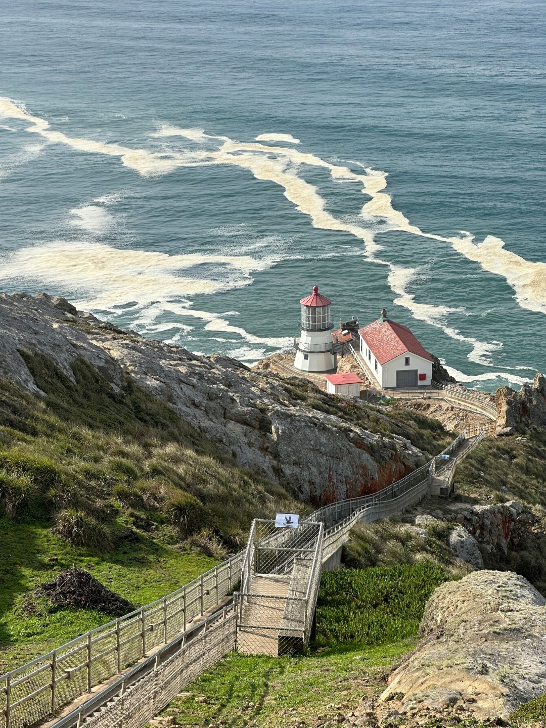 Point Reyes圣诞半日遊🌊冬天来看海