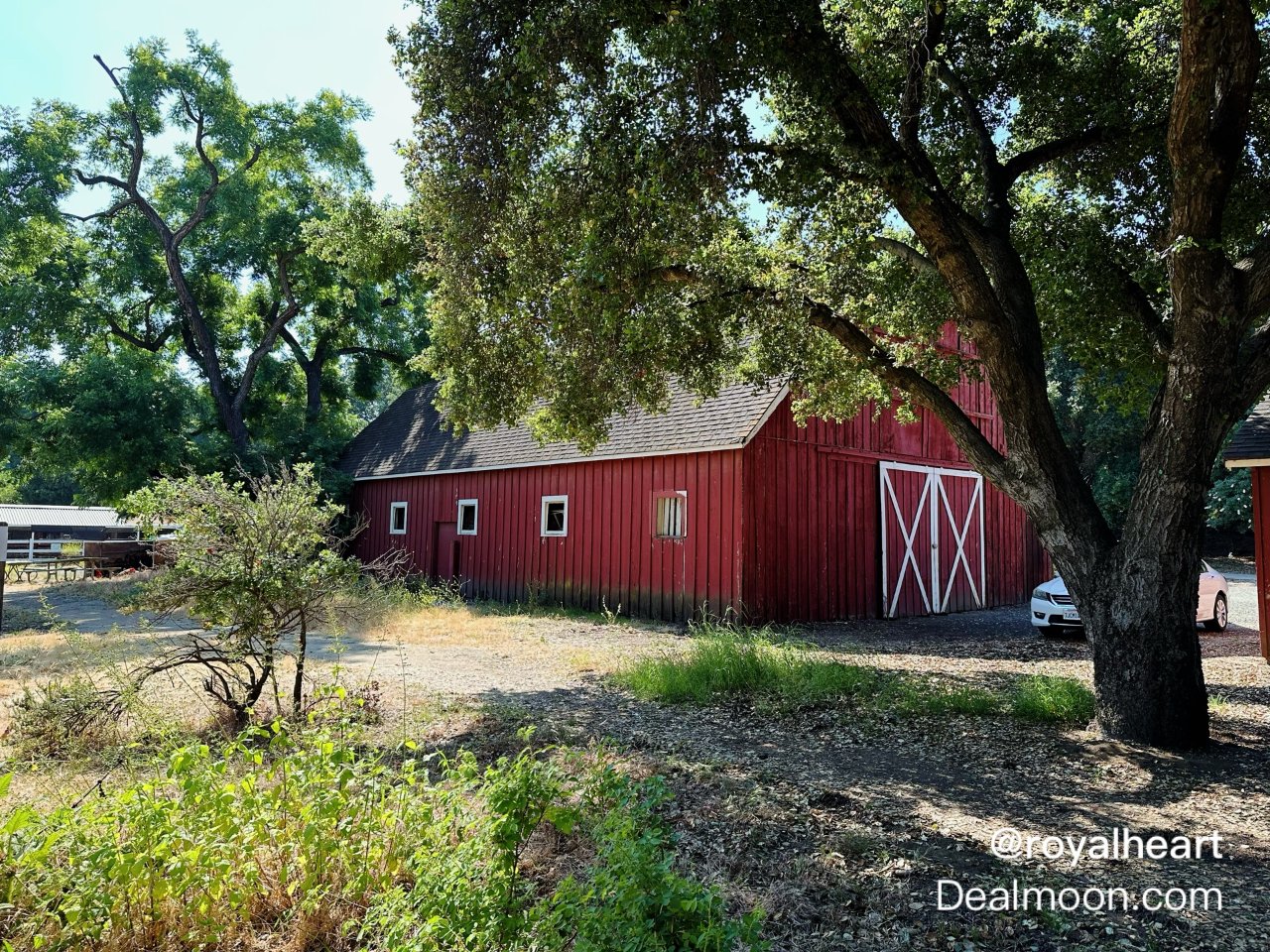 暑期户外之McClellan Ranch | 社区旅行精选