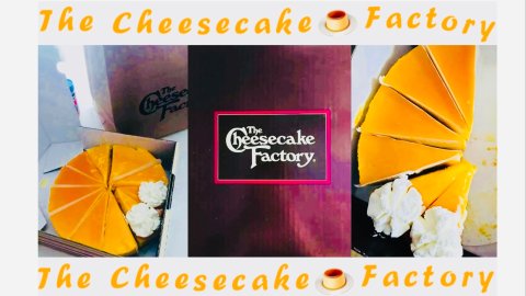 🍮The Cheesecake🍮Factory