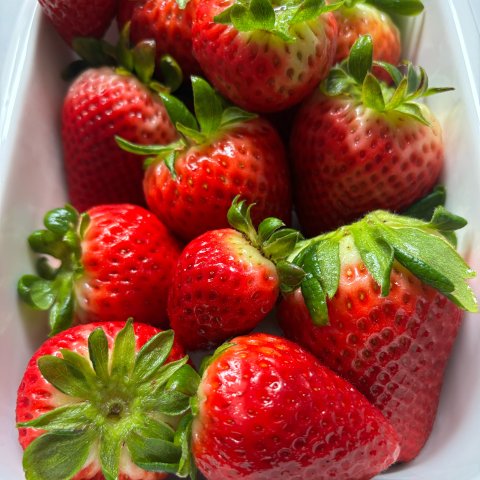 换季必备大量新鲜水果 | 社区精选