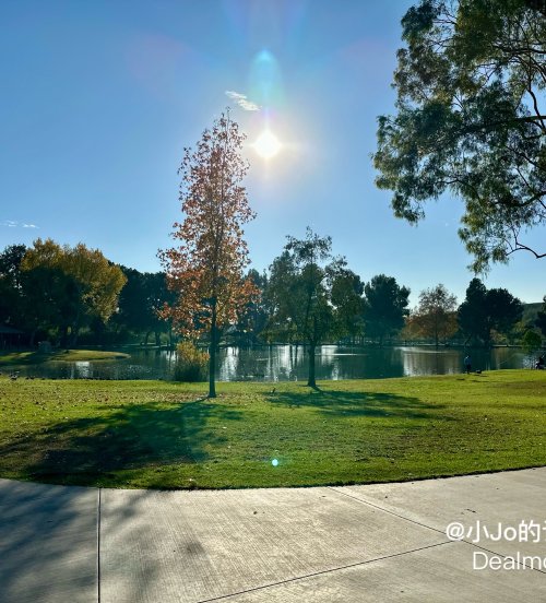 Carbon Canyon Regional Park 4442 Carbon Canyon Rd, Brea, California ...