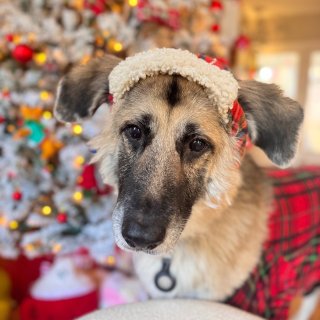 除了颜值一无所有 | 社区时尚精选