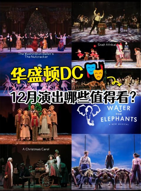2025 年 12 月华盛顿 DC 🎭 最值得看的演出/剧院推荐， | 社区旅行精选