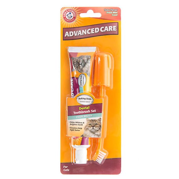 铲屎官须知的主子口腔护理