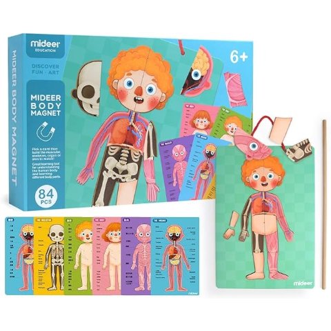 Human Body Model Puzzle for Kids, 90 Magnetic Puzzles Human Anatomy ...