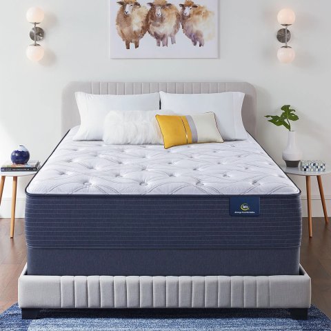 Serta ashbrook euro top plush queen store