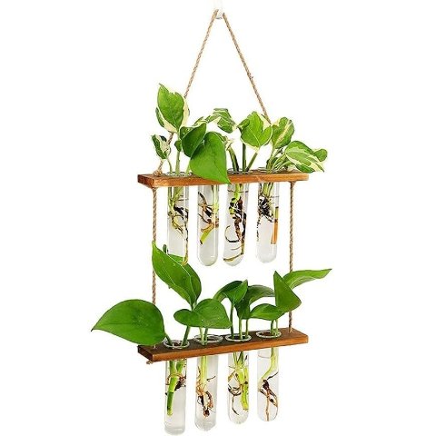 史低价：Maghat 壁挂式绿植水培架 $9.99