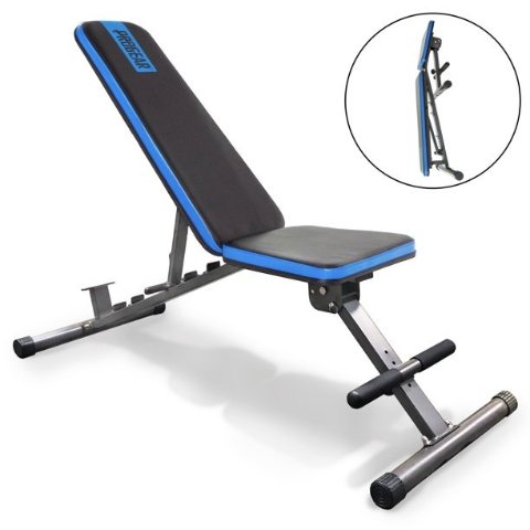 1300 Adjustable and Foldable 12 Position Heavy-Duty Weight Bench with ...