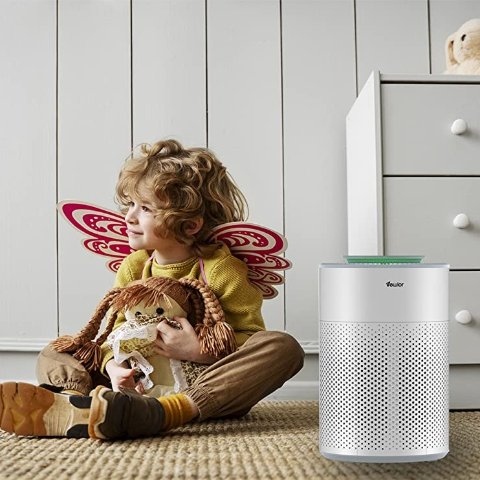 Air Purifiers for Home Large Room, VEWIOR Air purifier Up to 1100ft² ...