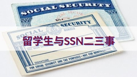 留学生指南之 SSN寄丢了该怎么办？
