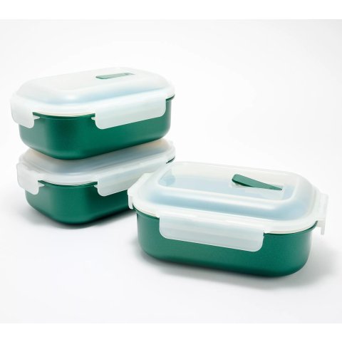 QVC Lock n Lock LocknLock Instant Cook S/3 Microwave Rectangles w ...