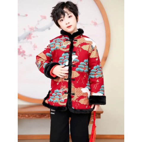 Boys Tang Clothes, Mandarin Collar Thick Coat With Dragon Print ...