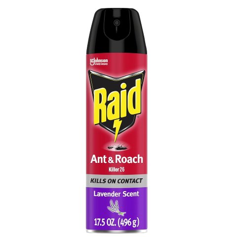 Raid Ant & Roach Killer Spray For Listed Bugs, Keeps Killing for Weeks ...
