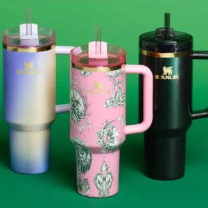 Coming Soon： Target Stanley Exclusive Wicked for Good As Low As $35