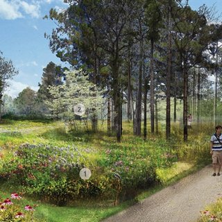 2026新年第一天，休斯顿这样玩才叫开运！🎉 1月1日超全攻略来啦！ | 社区旅行精选